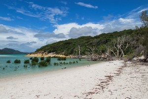 Whitsunday Island
