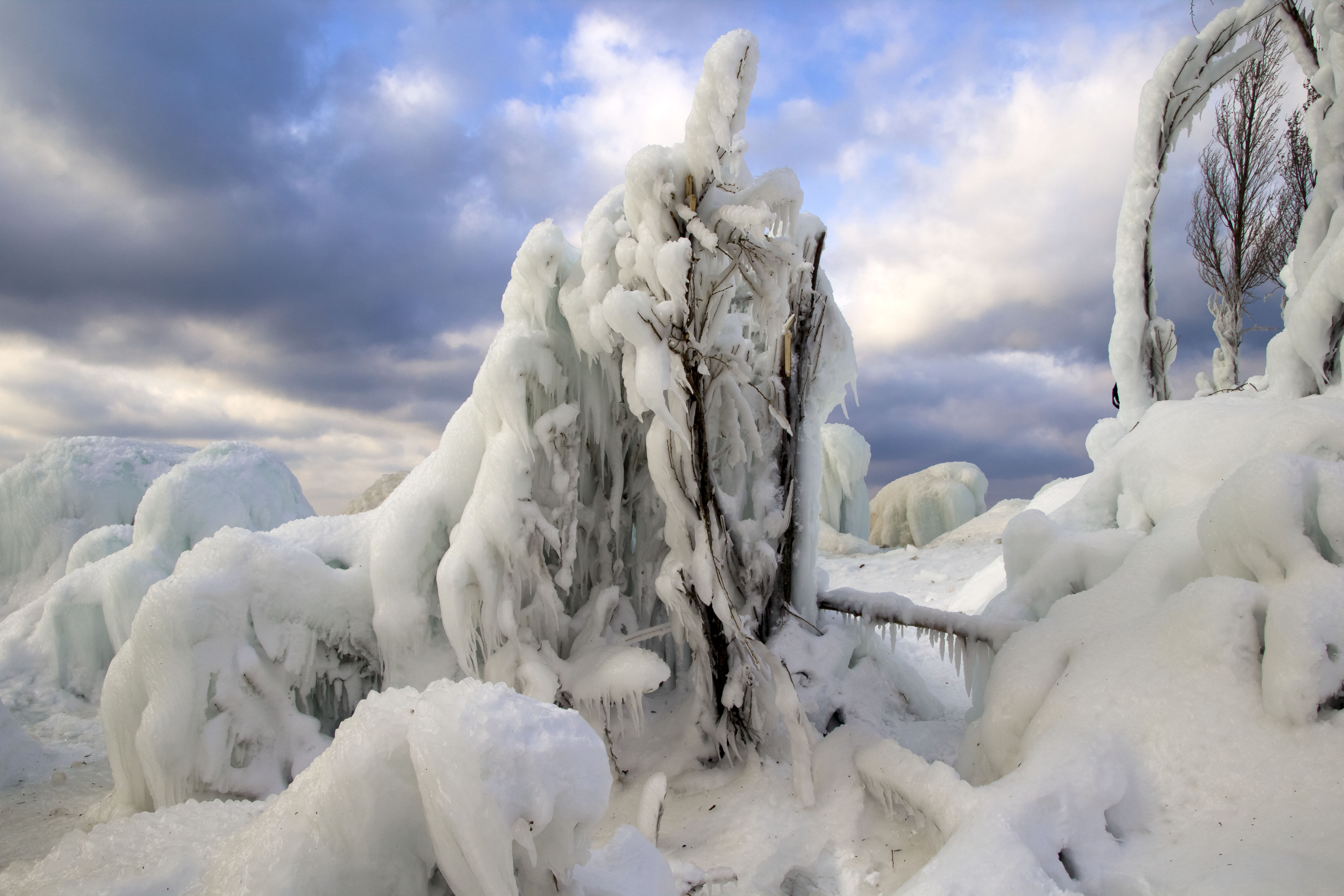 Snapshots of Winter – Birds of the Air