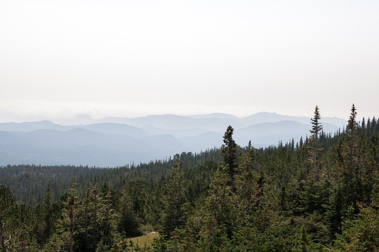 Elevate – Birds of the Air