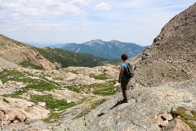 Elevate – Birds of the Air