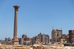 Highlights of Alexandria – Birds of the Air