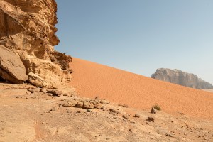 Dreamers of the Day – Birds of the Air