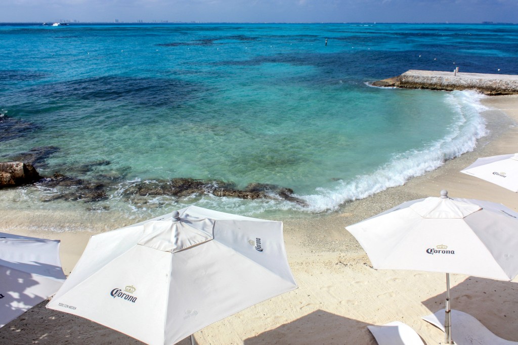 Cursed in Cancún – Birds of the Air