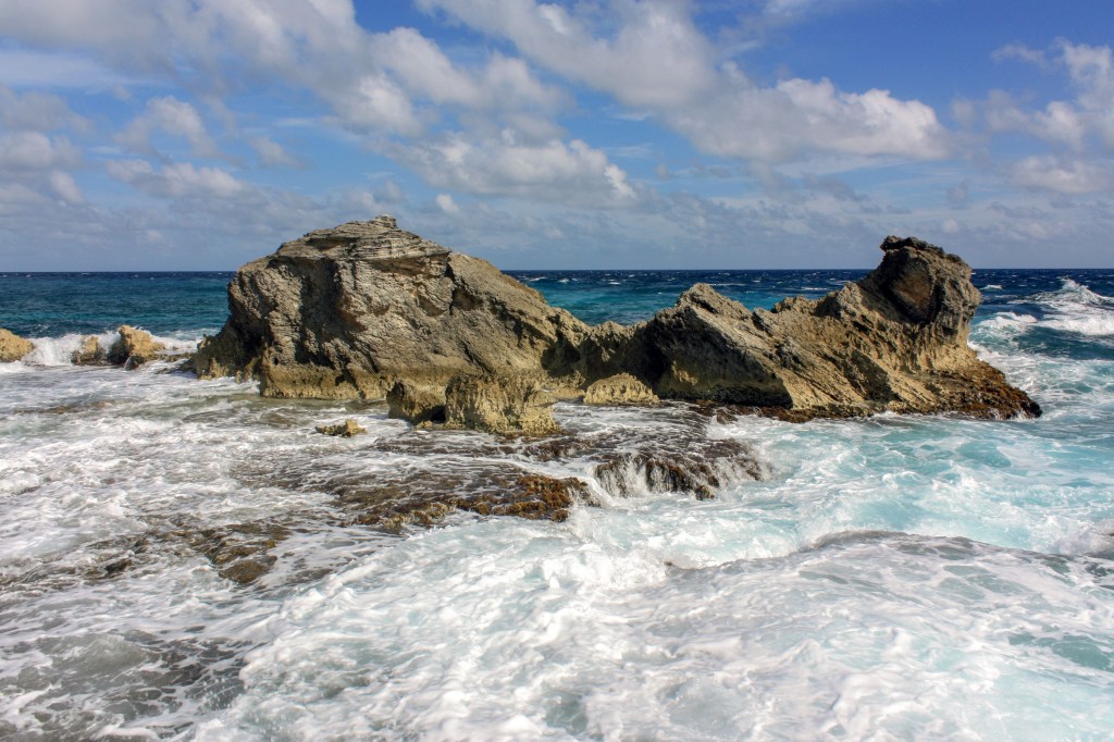 Cursed in Cancún – Birds of the Air