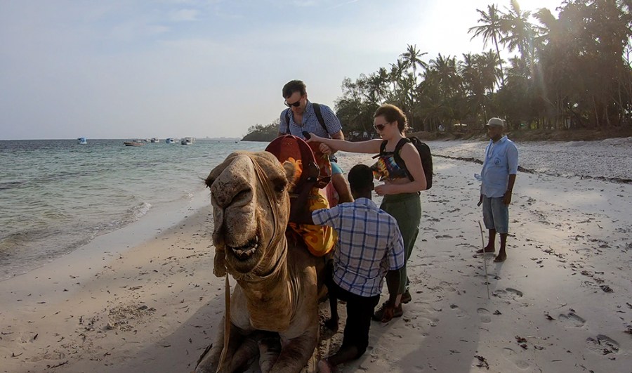 Diving into Mombasa