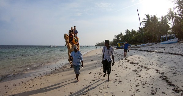 Diving into Mombasa