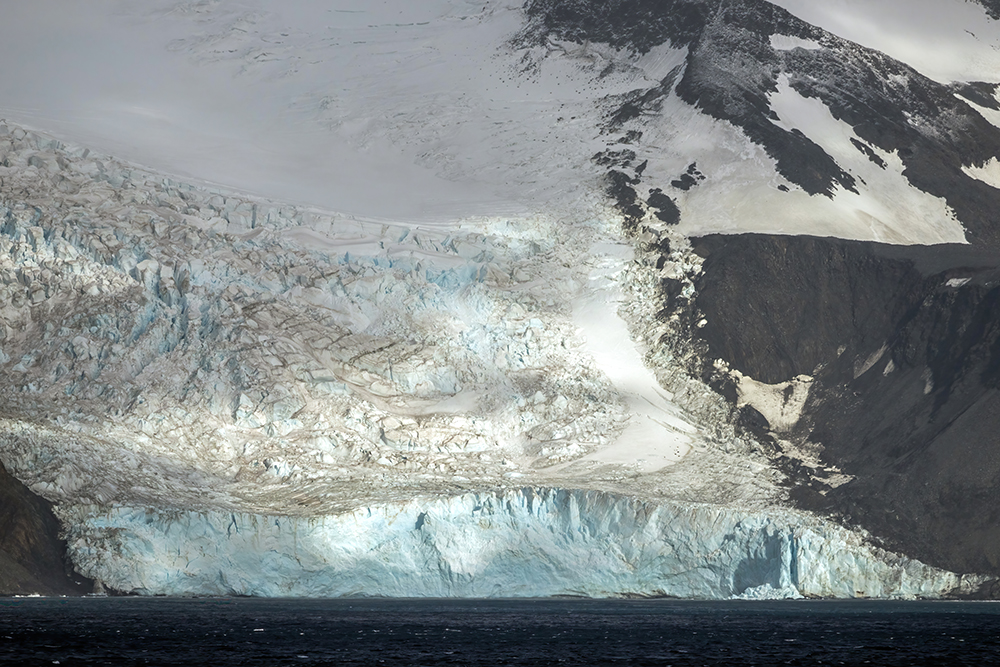 Endurance – Birds of the Air