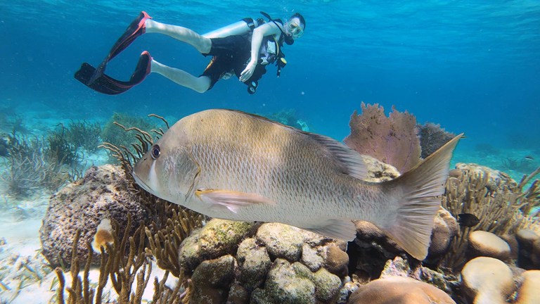 Bucket List Belize