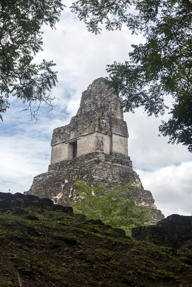 Mundo Perdido – Birds of the Air