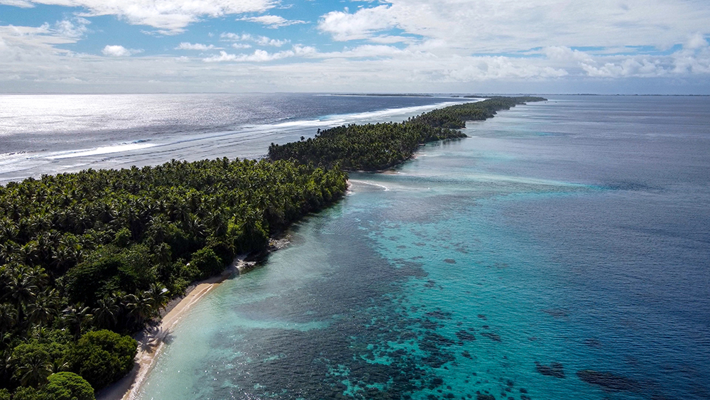 Marooned in the Marshall Islands – Birds of the Air