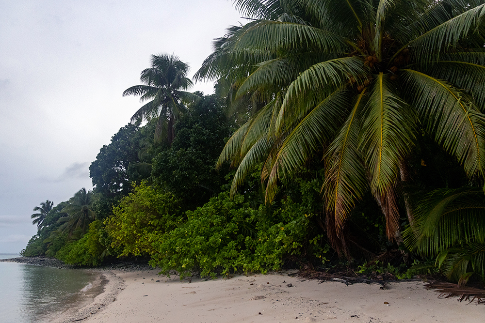 Marooned in the Marshall Islands