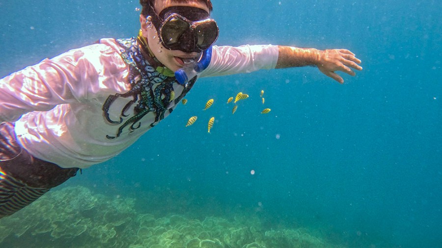 Swimming in a Fishbowl – Birds of the Air