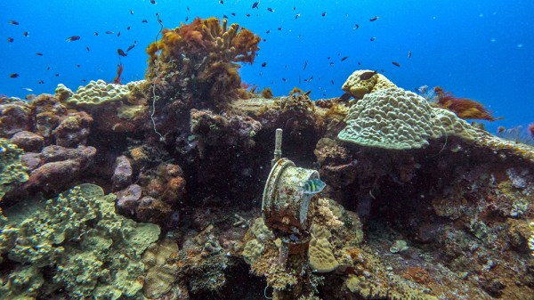 Diving into History