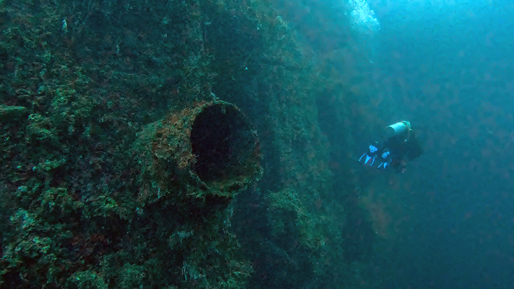 Diving into History