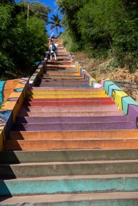 Meandering Through Maputo