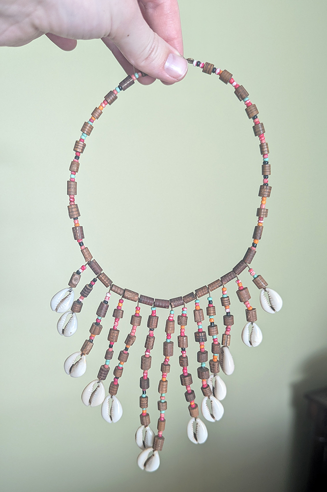 Meandering Through Maputo